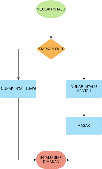 Flowchart Template (Two Paths) | Visual Paradigm User-Contributed ...